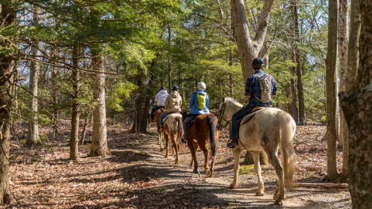 49 Best Trail Riding Group Names - Actually Good Team Names